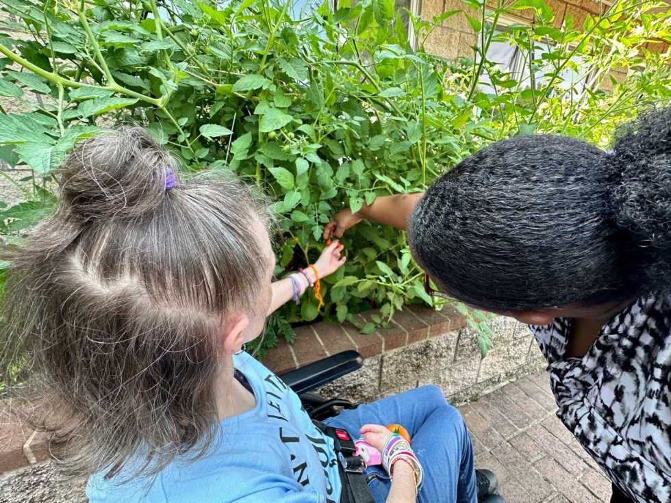 Spring Dell Center | Empowering Individuals with Disabilities